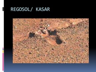 JENIS-JENIS TANAH.pptx