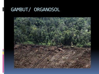 JENIS-JENIS TANAH.pptx