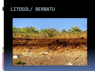 JENIS-JENIS TANAH.pptx