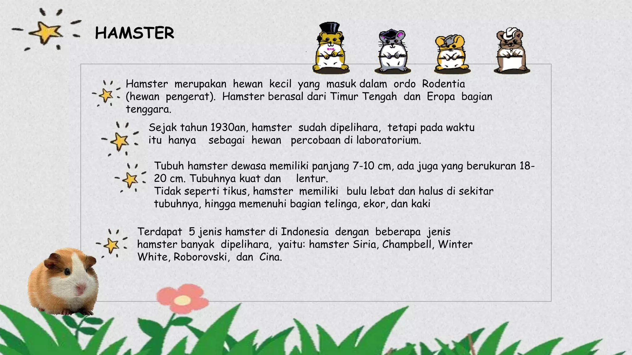JENIS-JENIS TERNAK KESAYANGAN.pptx