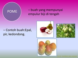 Jenis2buah slideshow | PPSX