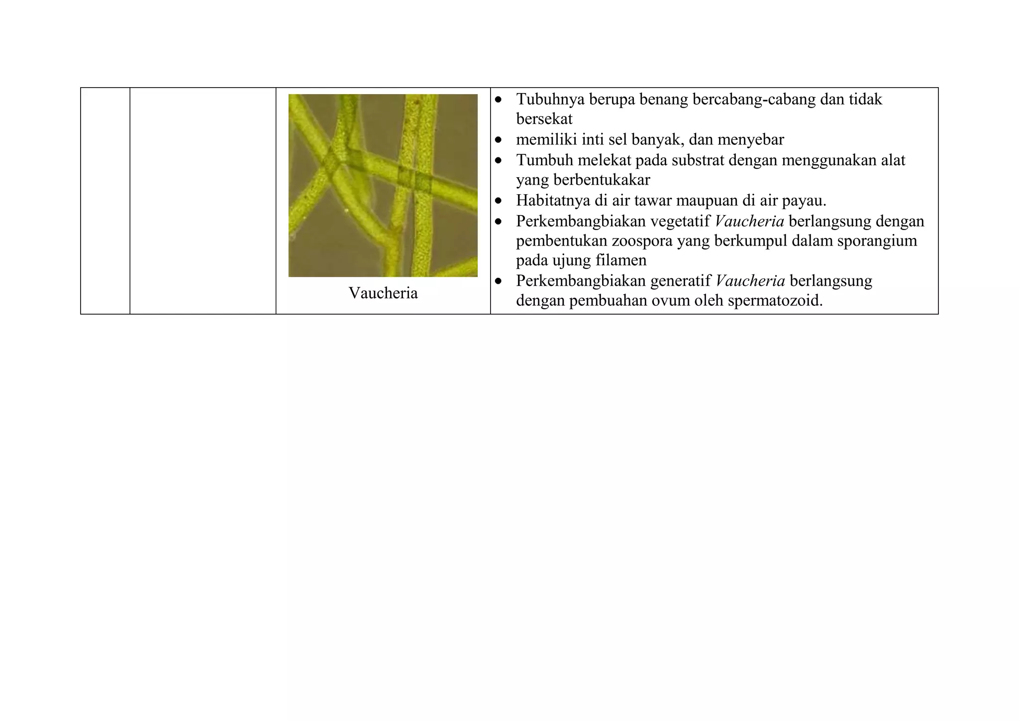 biologi Jenis alga | DOCX