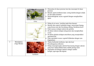 biologi Jenis alga | DOCX