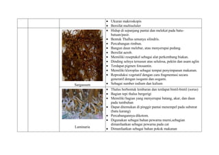 biologi Jenis alga | DOCX
