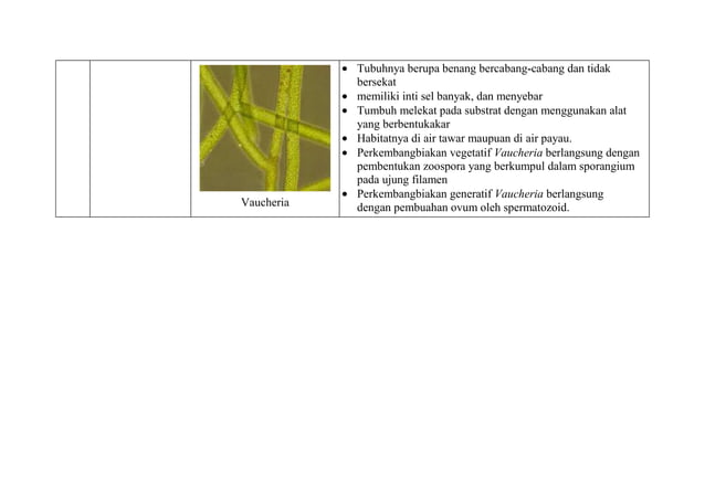 biologi Jenis alga | DOCX