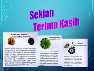 Jenis Dadah dan Kesan (2).pptx