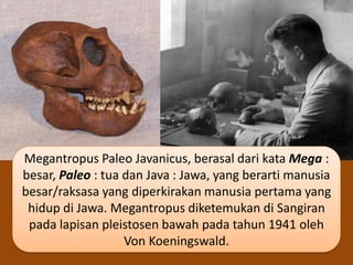 Jenis dan ciri manusia purba | PDF