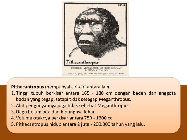 Jenis dan ciri manusia purba | PPT