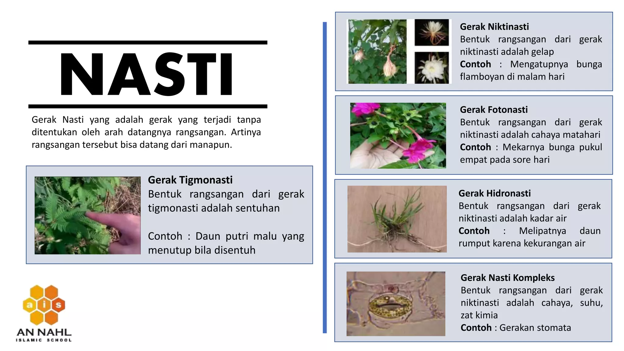 Jenis Gerak Tumbuhan | PPTX