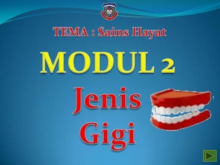 Jenis gigi | PPTX