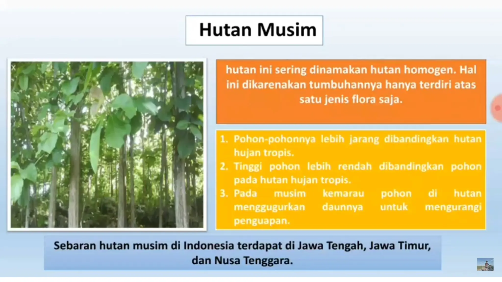 Jenis-Jenis Hutan. Materi Geografi kelas XI semester 1 BAB sumberdaya ...