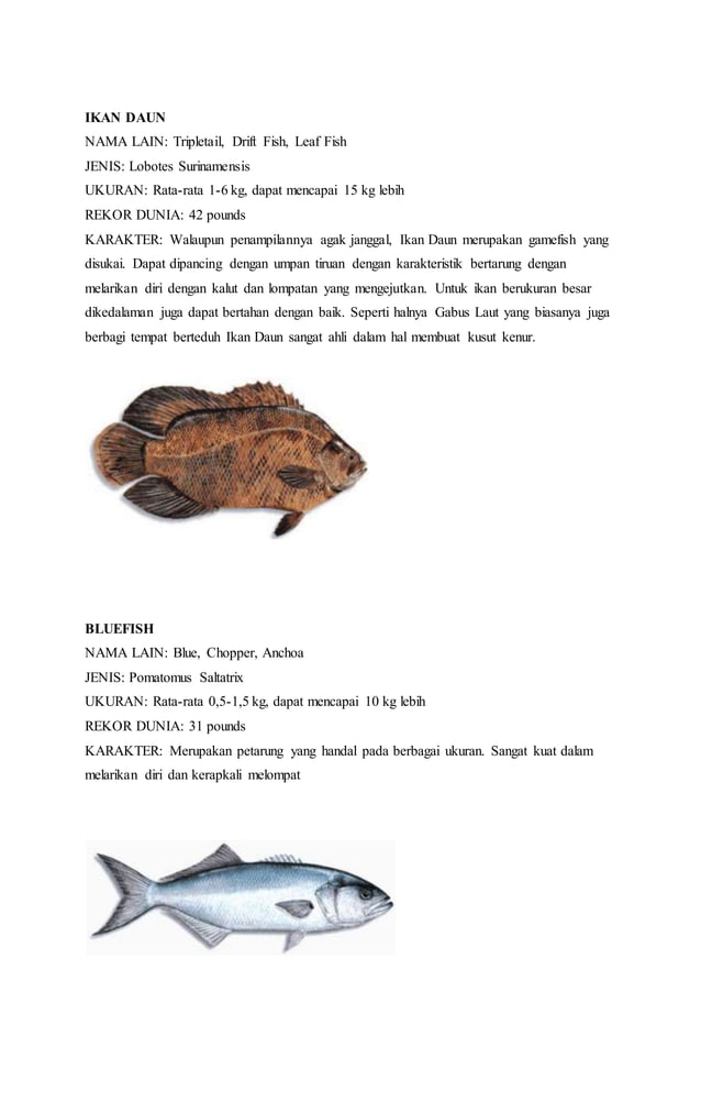 Jenis jenis ikan | PDF