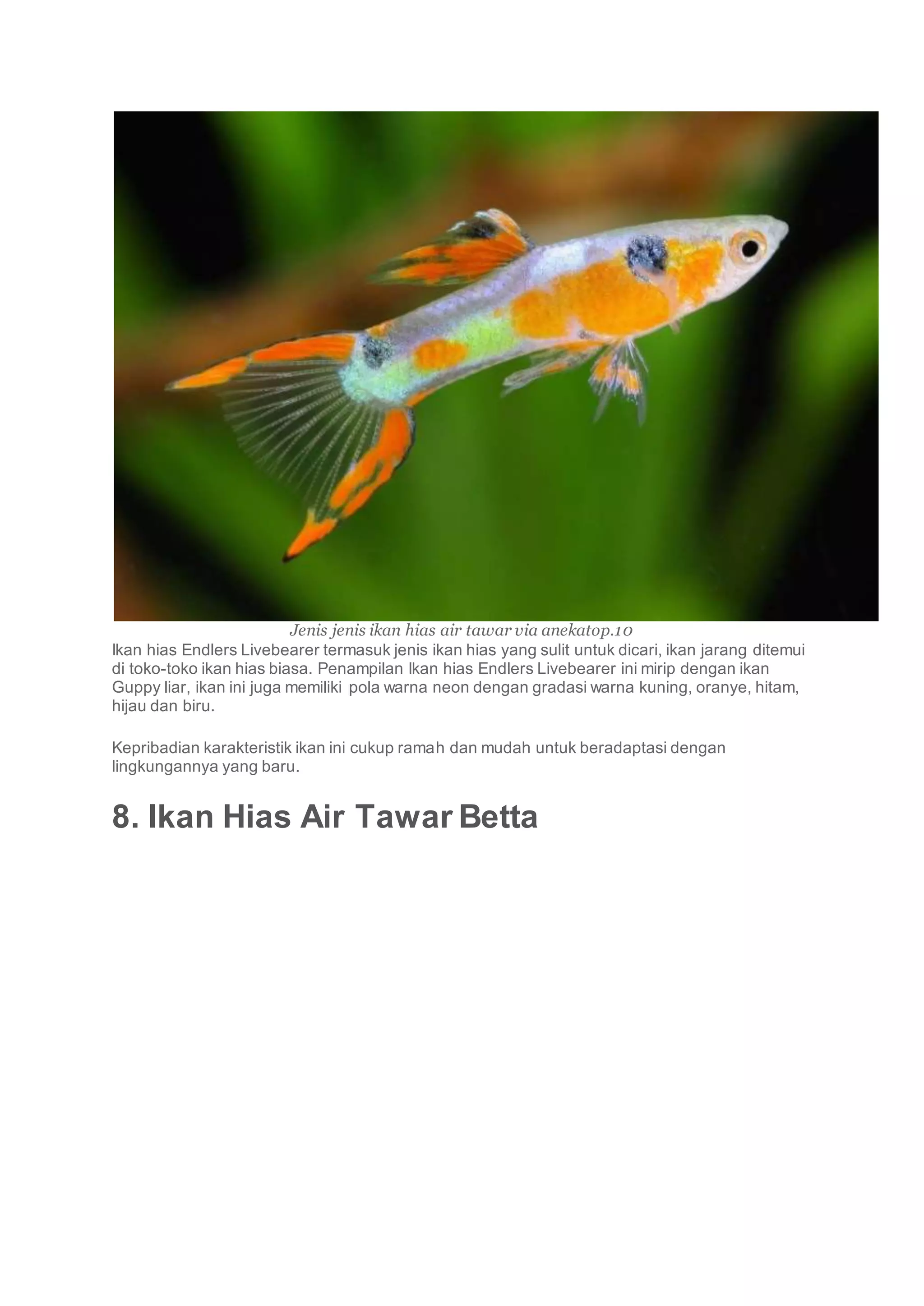 Jenis jenis ikan hias air tawar | DOCX