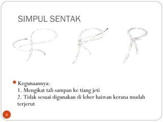 Jenis – jenis ikatan (ppim skah 18) | PPT