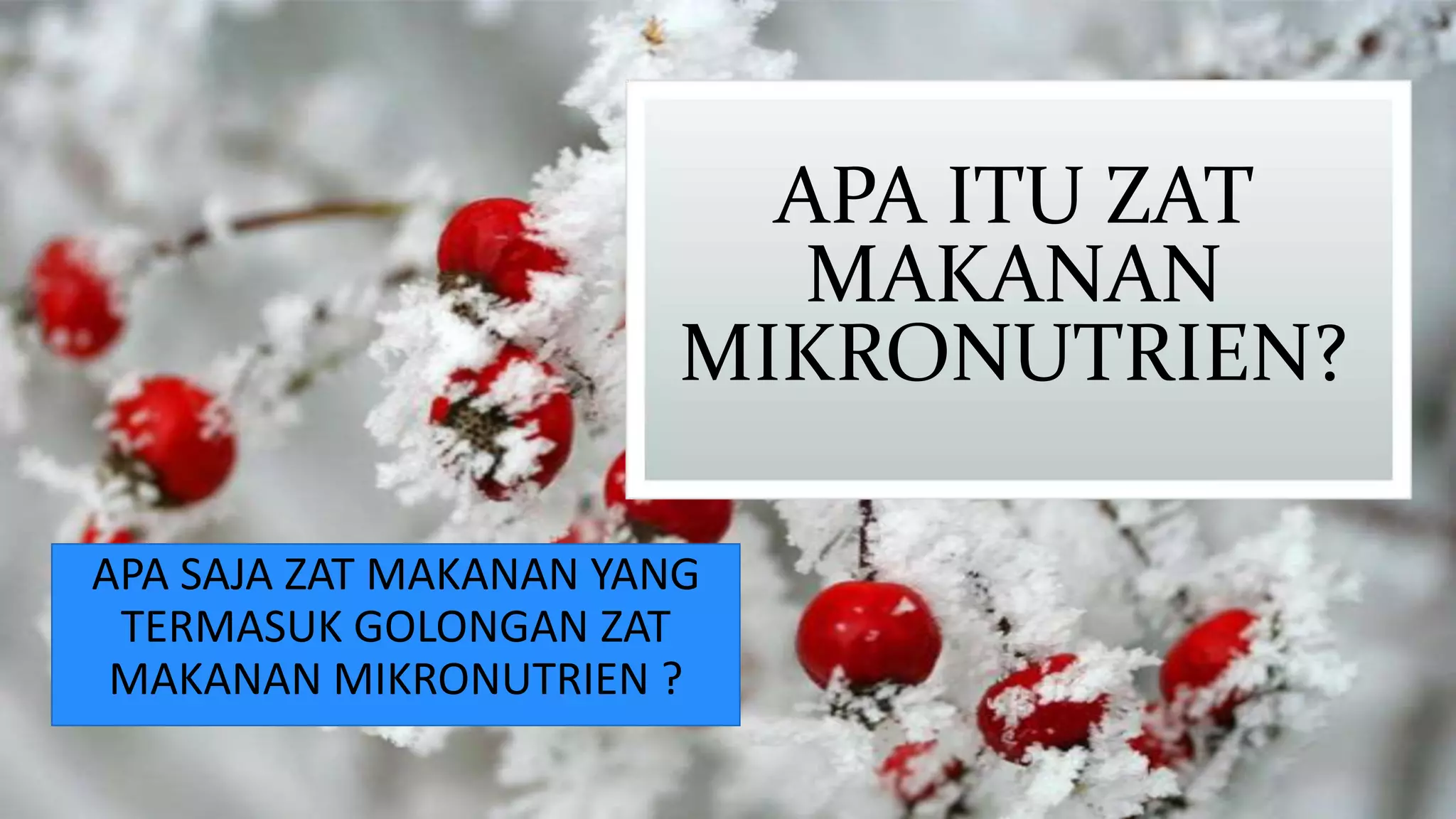 Jenis Jenis Makanan Makronutrien dan Mikronutrien | PPTX