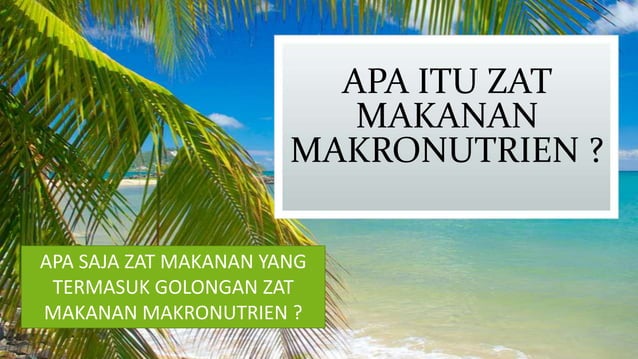 Jenis Jenis Makanan Makronutrien dan Mikronutrien | PPTX