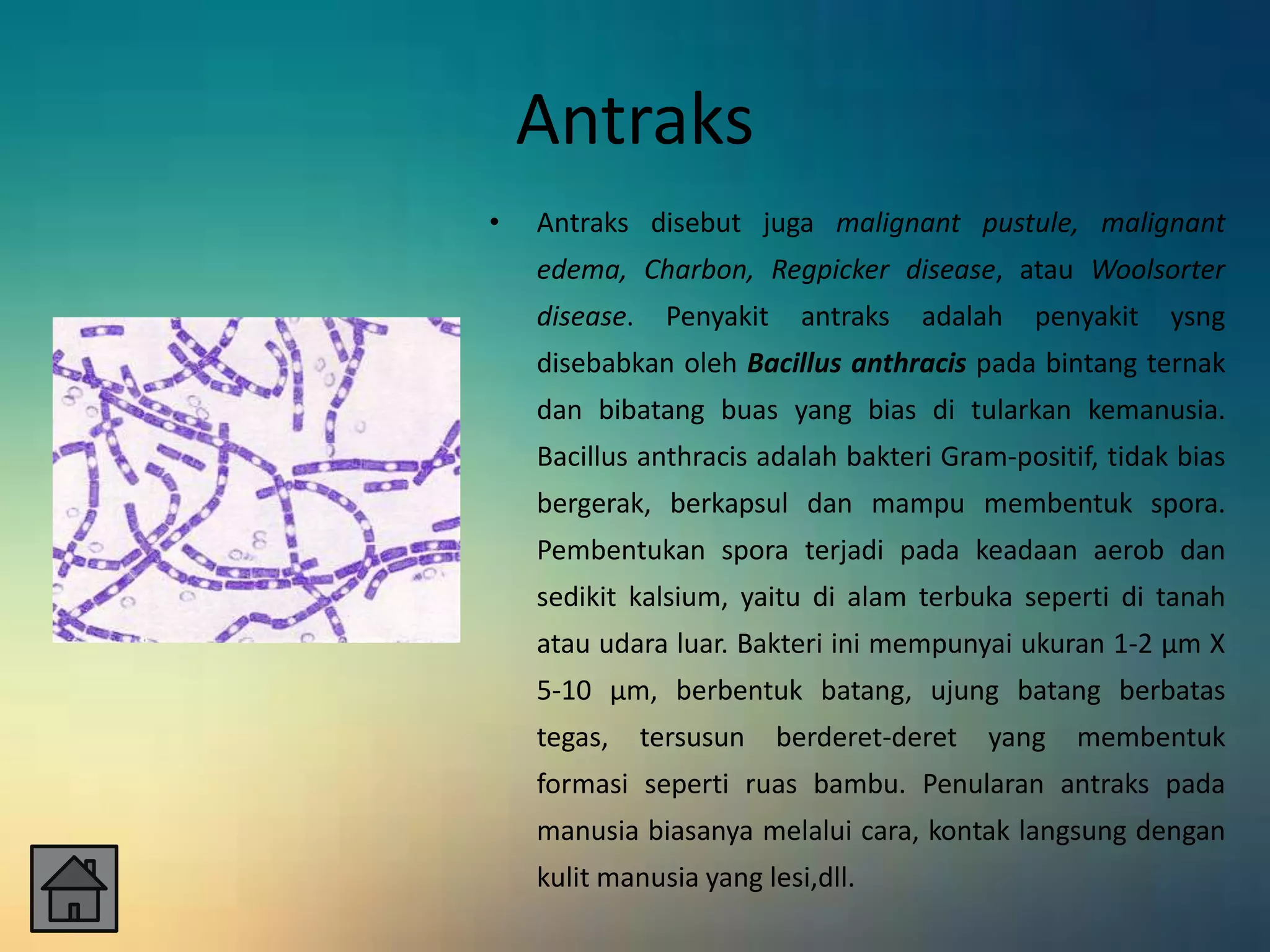 Jenis jenis penyakit infeksi | PPTX