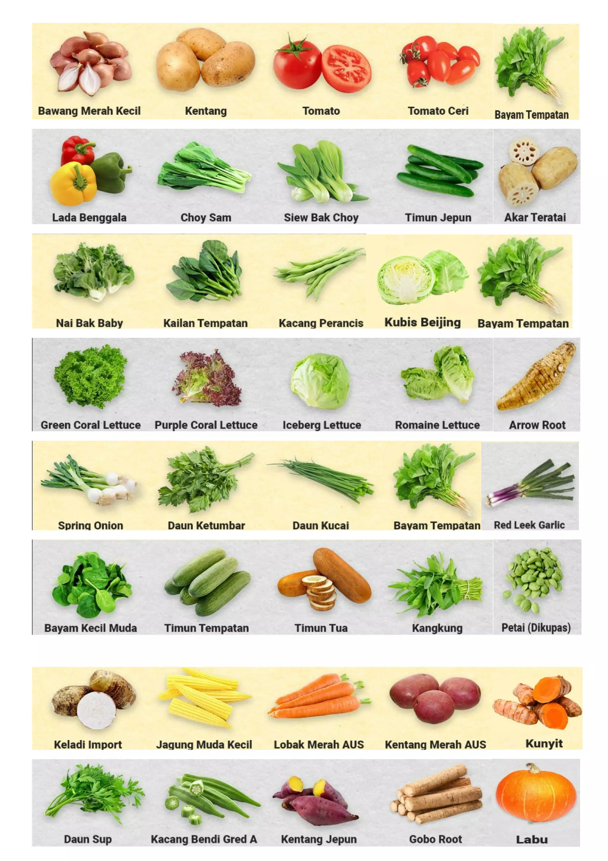 jenis jenis sayur.pdf