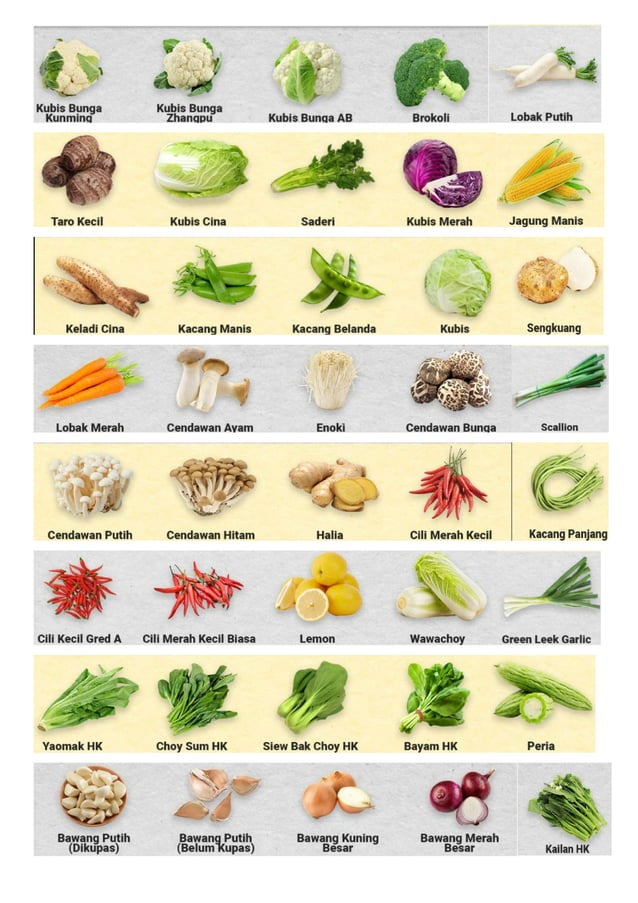 jenis jenis sayur.pdf