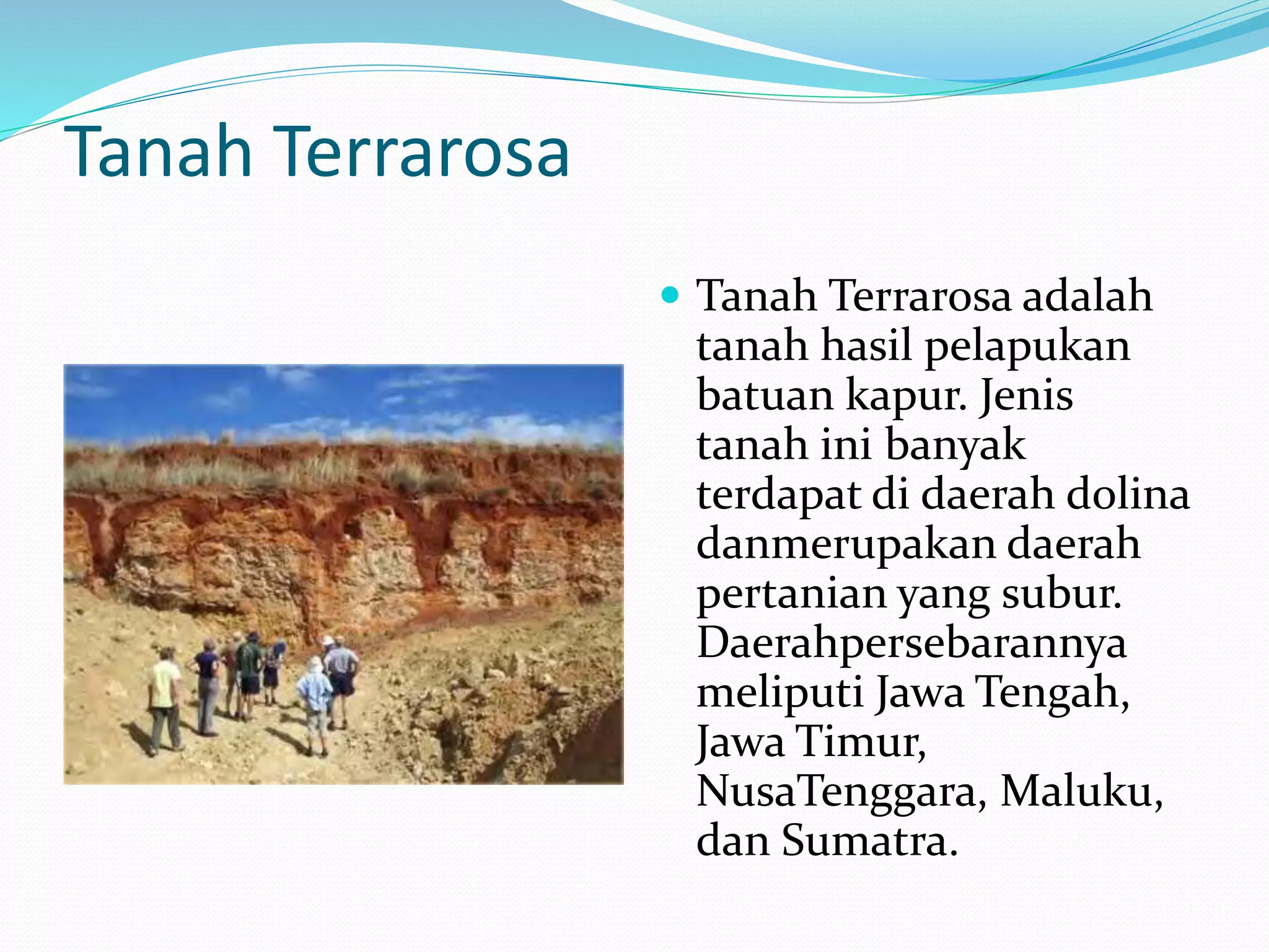 Jenis jenis tanah di jawa timur | PPTX