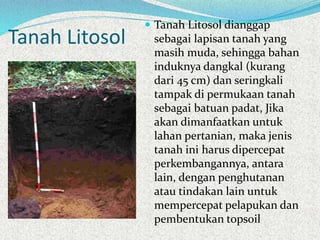 Jenis jenis tanah di jawa timur | PPTX