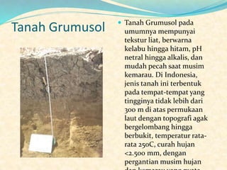 Jenis jenis tanah di jawa timur | PPTX