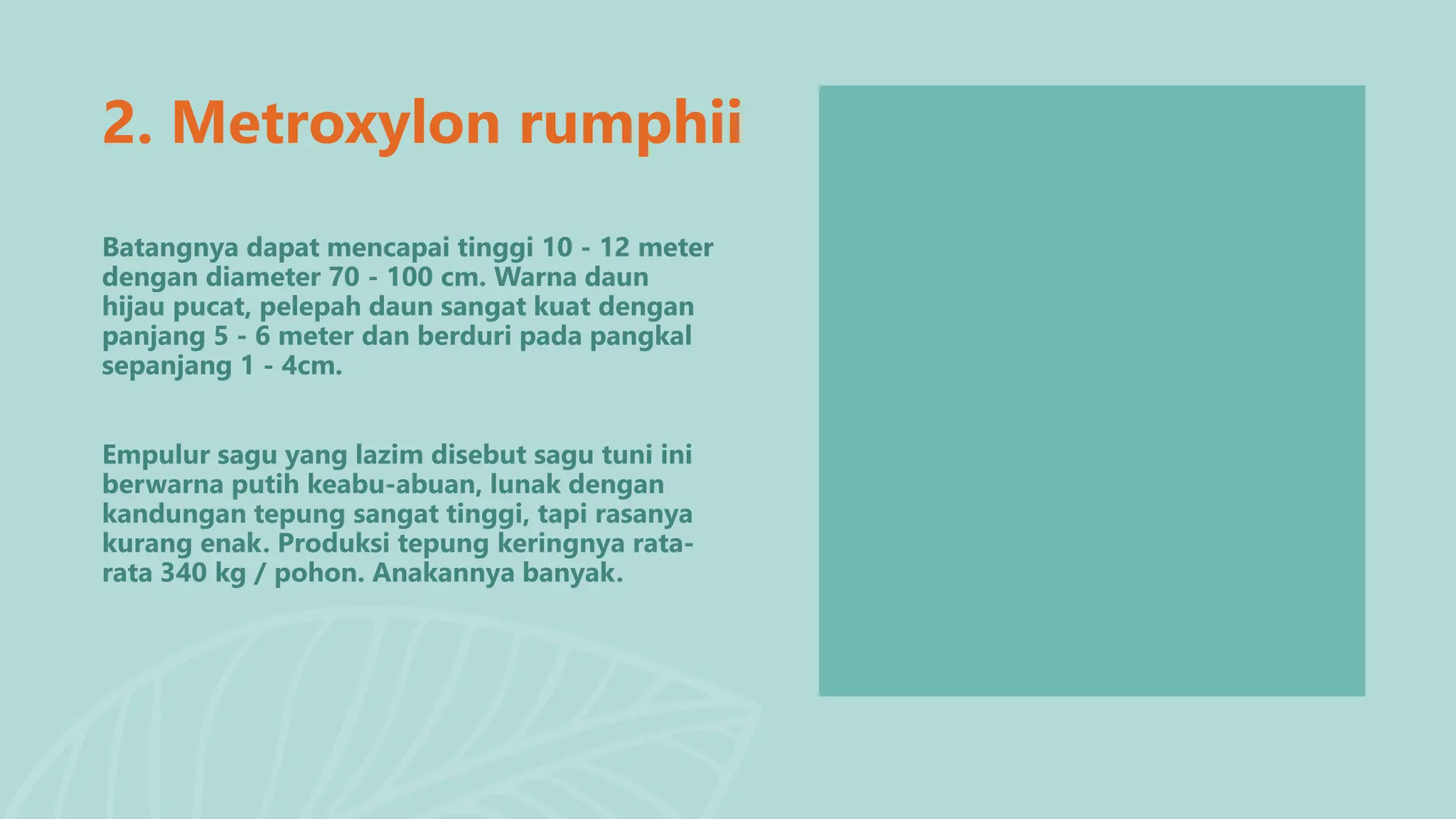 Jenis-jenis tanaman sagu yang ada di Indonesia.pptx