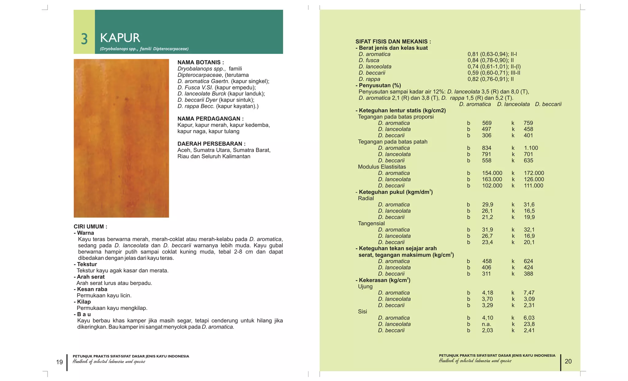 Jenis Kayu di Indonesia.pdf