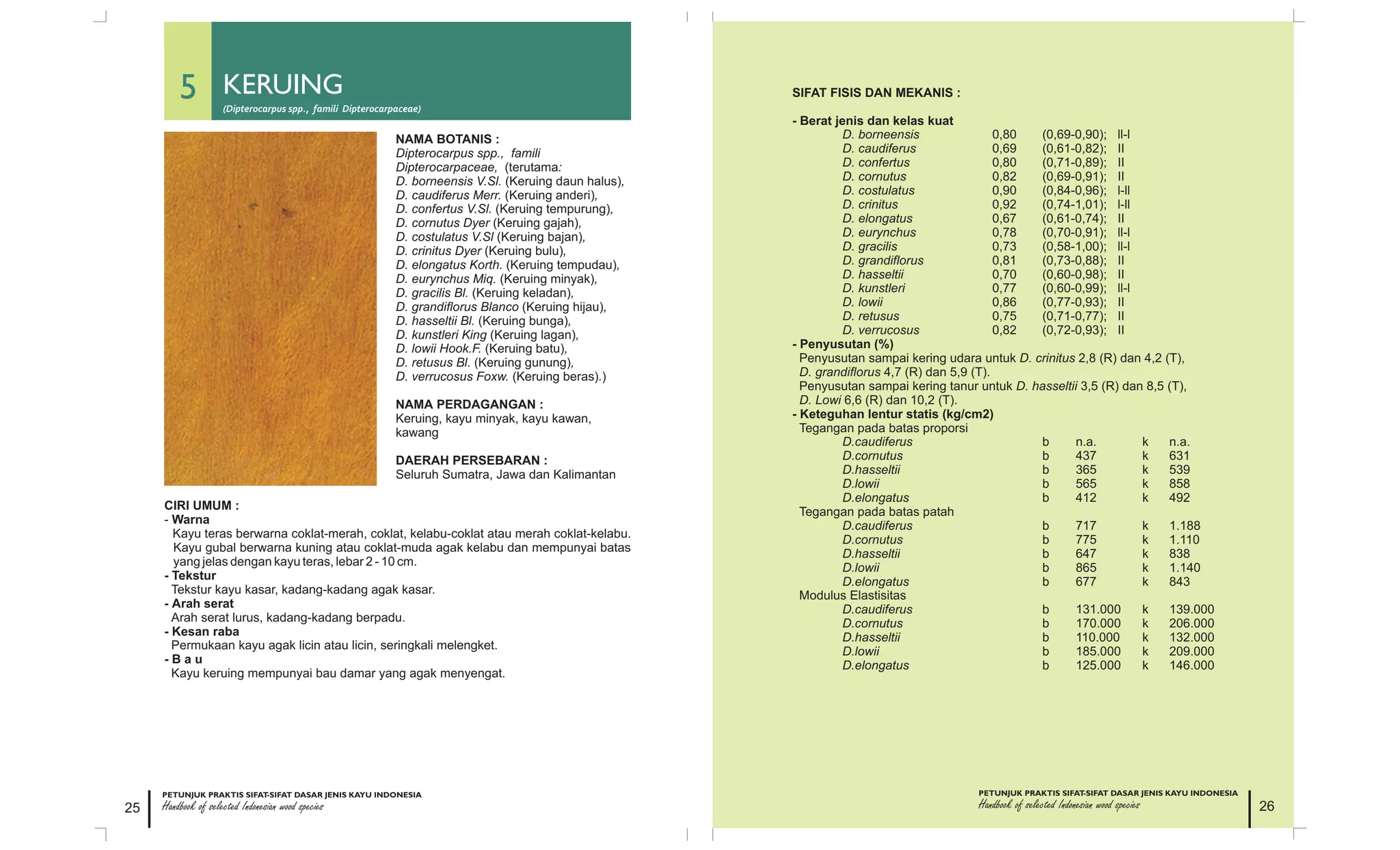 Jenis Kayu di Indonesia.pdf