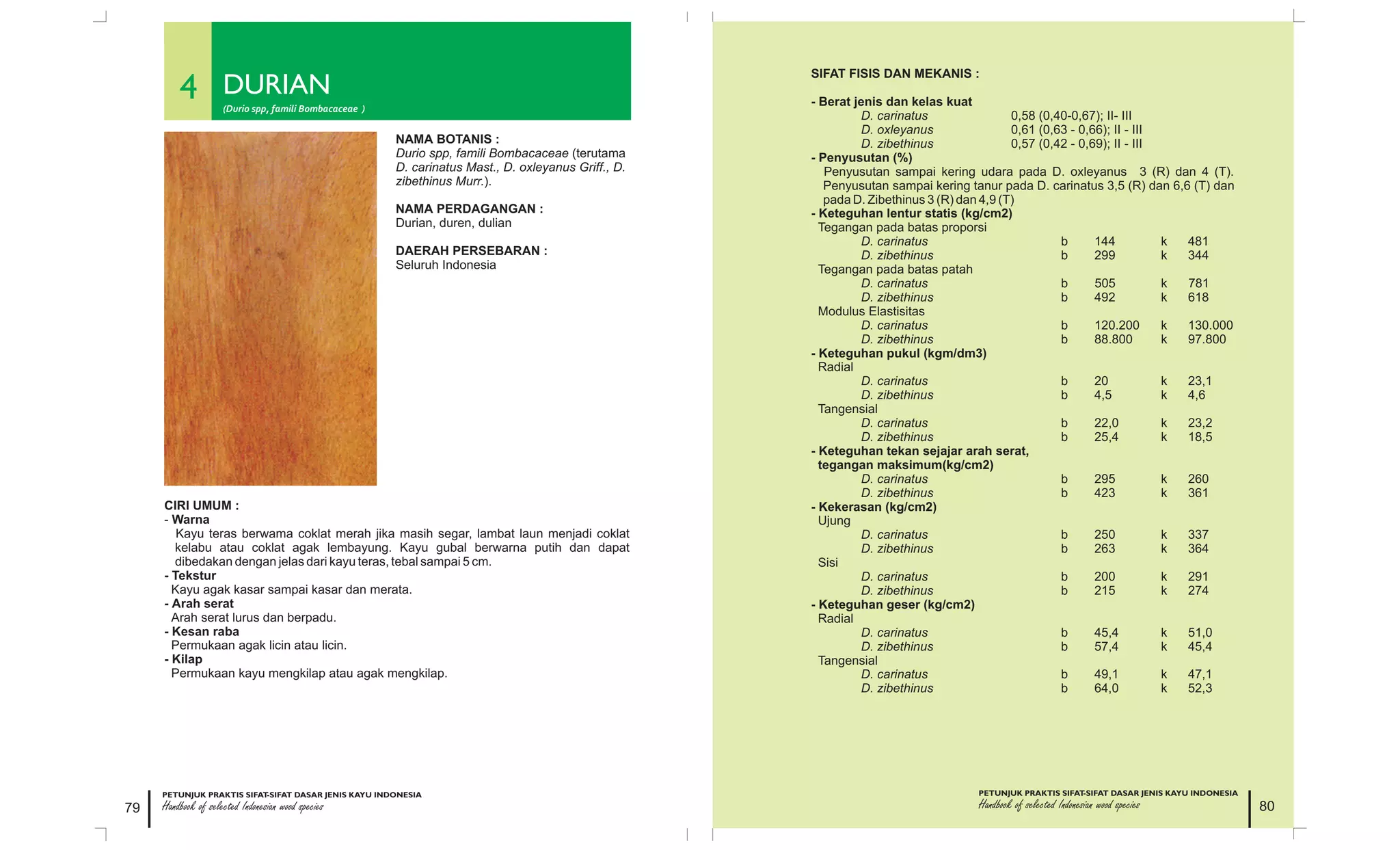 Jenis Kayu di Indonesia.pdf