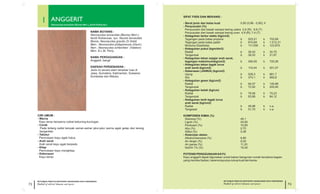 Jenis Kayu di Indonesia.pdf