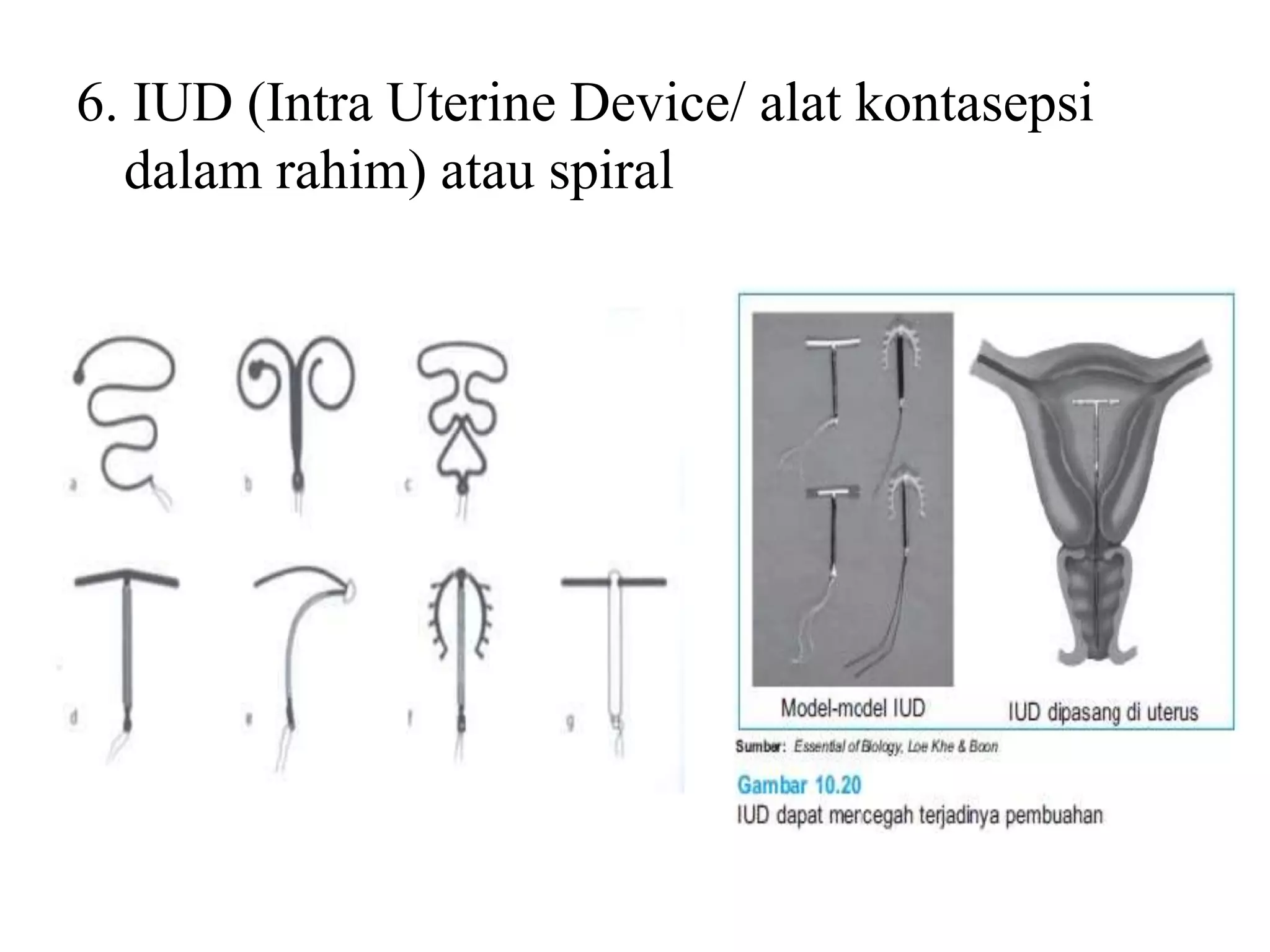 Jenis jenis Kb | PPTX