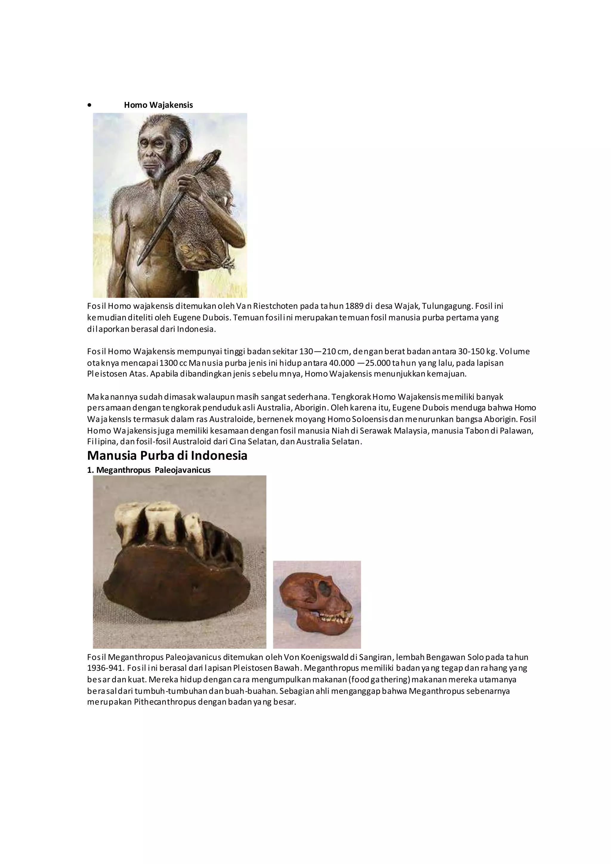 Jenis manusia purba di indonesia beserta gambar | DOCX