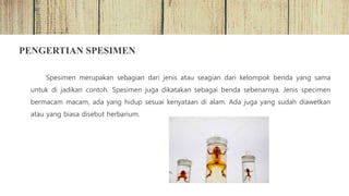 Jenis- jenis Media Penyuluhan | PPTX