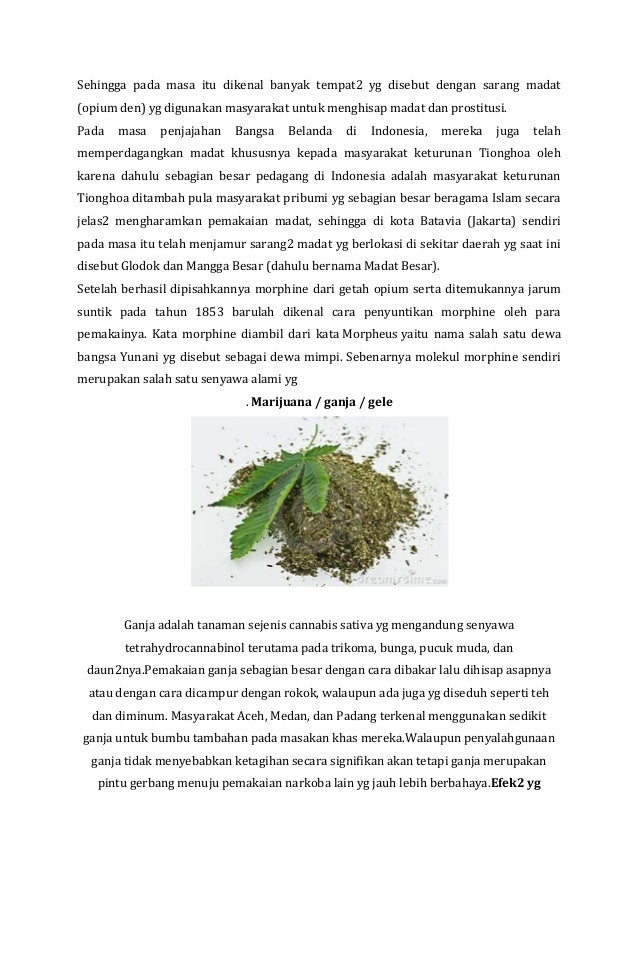 Jenis narkoba dan bahayanya