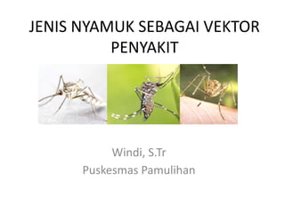 JENIS-JENIS NYAMUK SEBAGAI VEKTOR - Windi, S.Tr.pptx