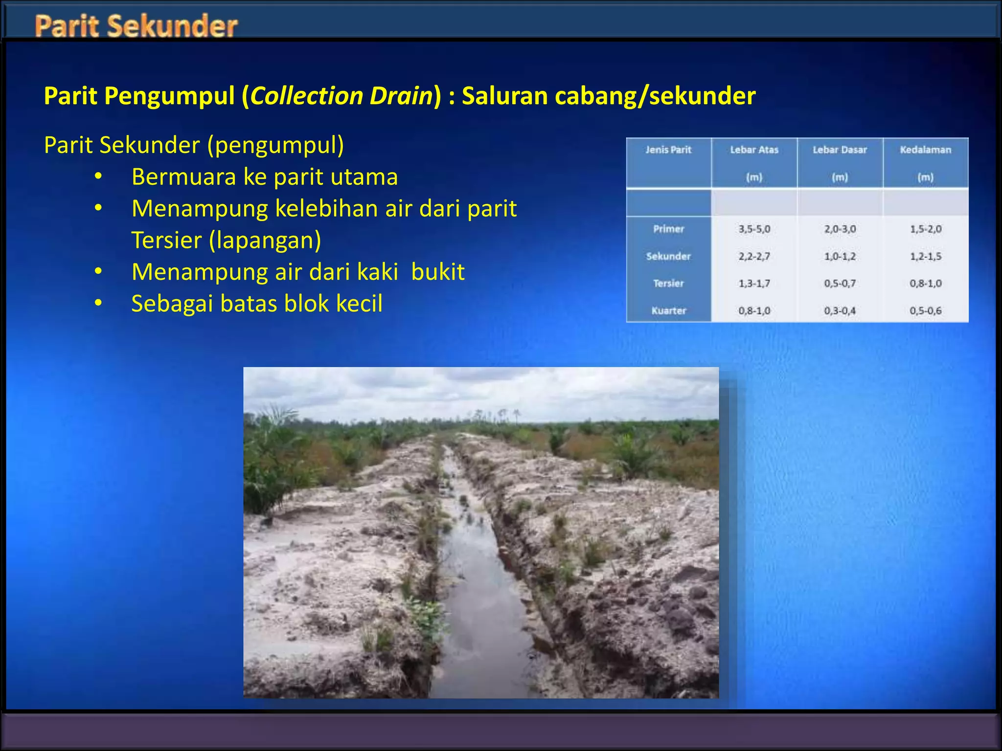 Jenis parit on construction | PPTX