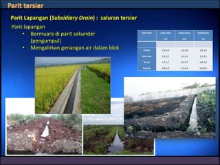 Jenis parit on construction | PPTX