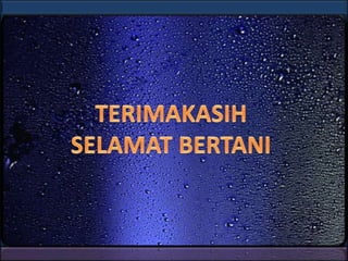 Jenis parit on construction | PPTX