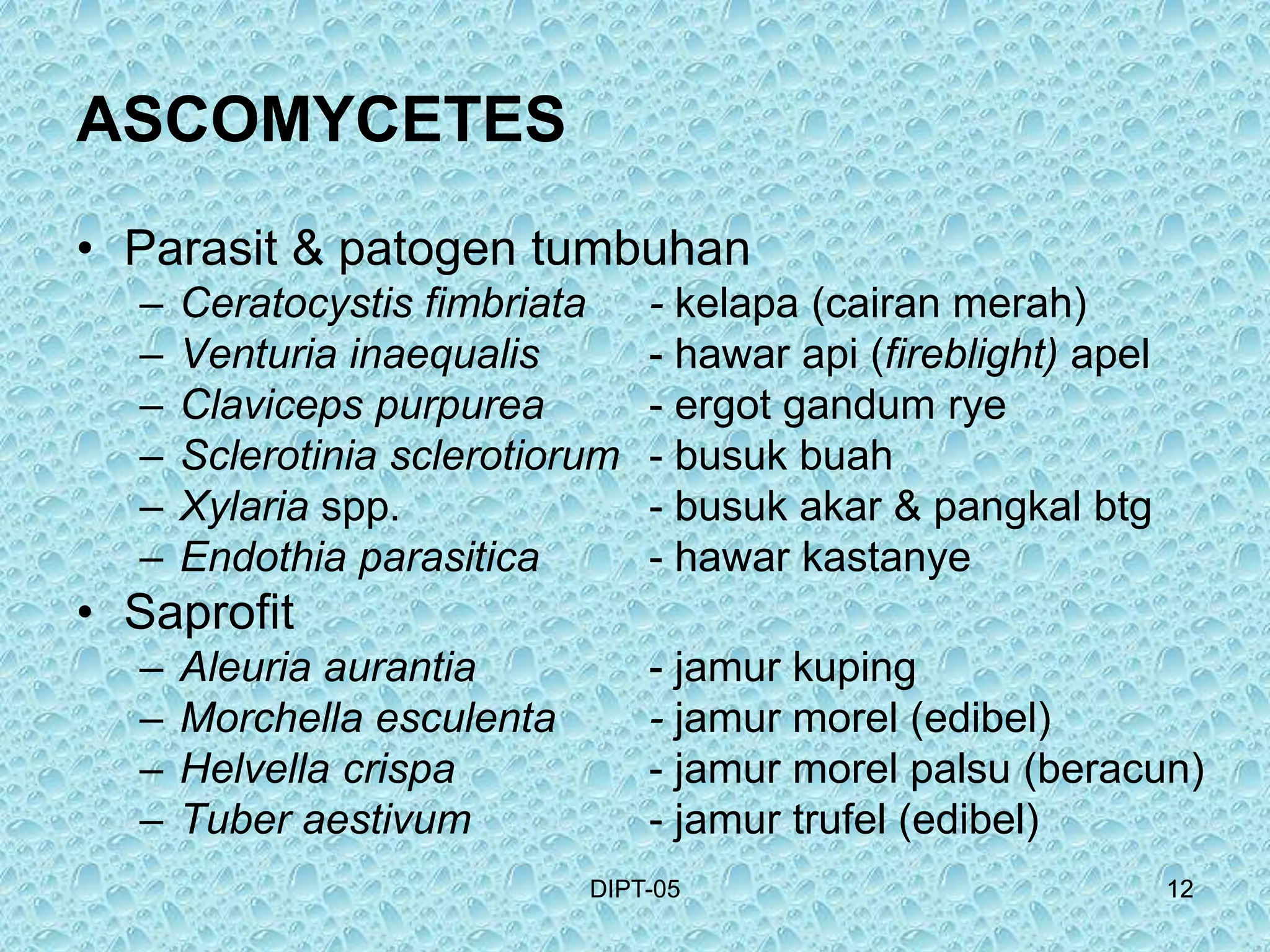 jenis patogen bakteri jamur kapang dan mikroorganisme.ppt