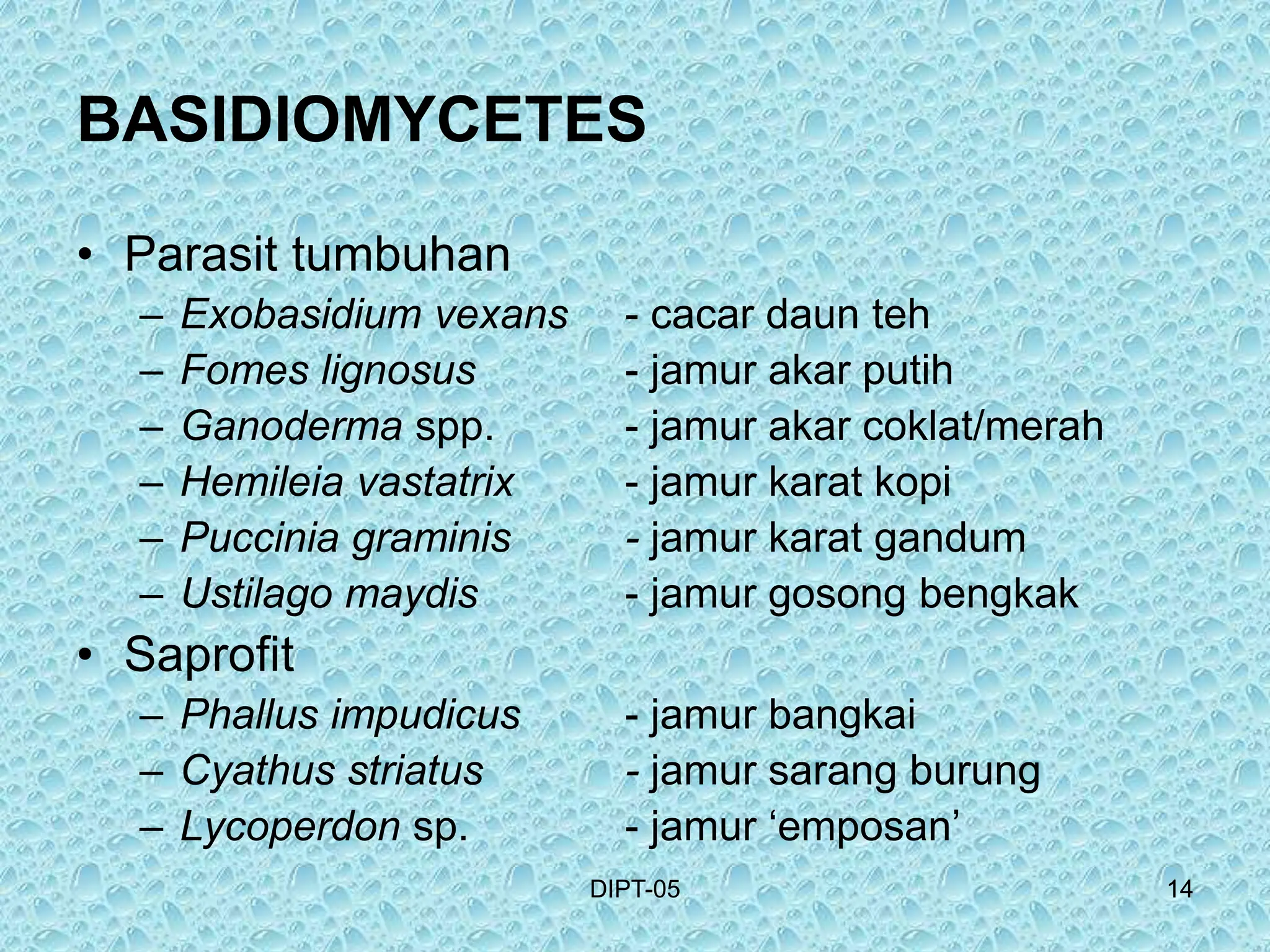 jenis patogen bakteri jamur kapang dan mikroorganisme.ppt