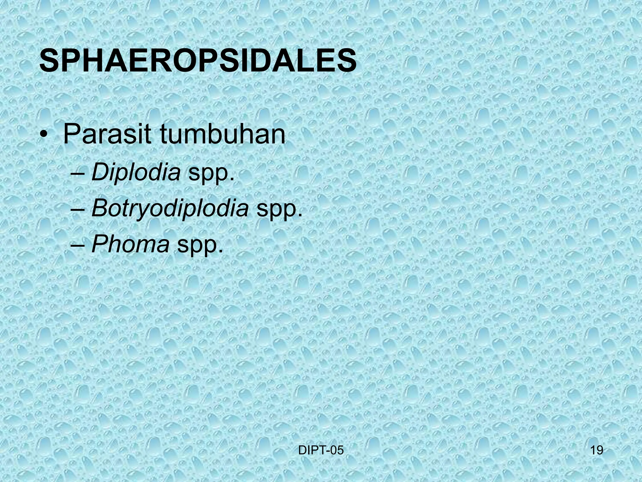 jenis patogen bakteri jamur kapang dan mikroorganisme.ppt