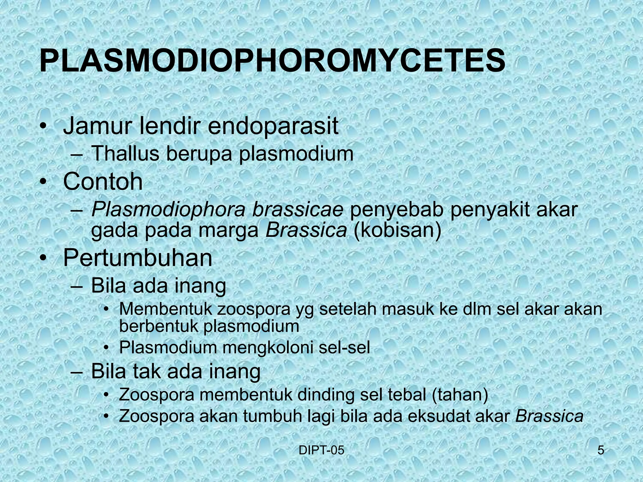 jenis patogen bakteri jamur kapang dan mikroorganisme.ppt