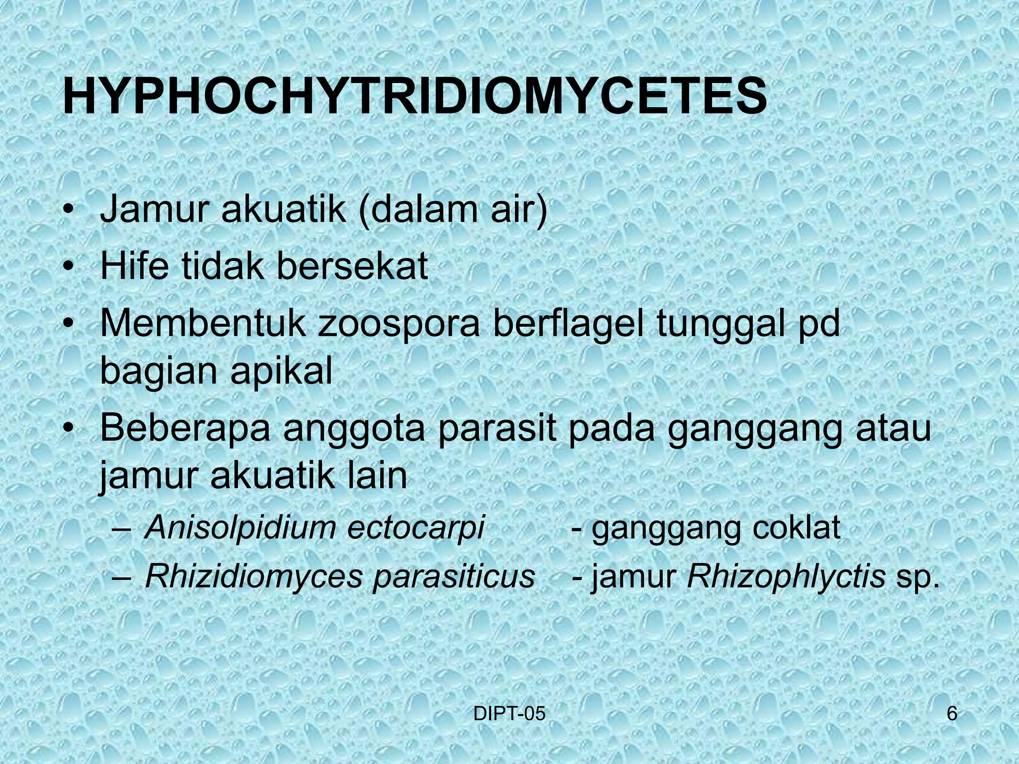 jenis patogen bakteri jamur kapang dan mikroorganisme.ppt
