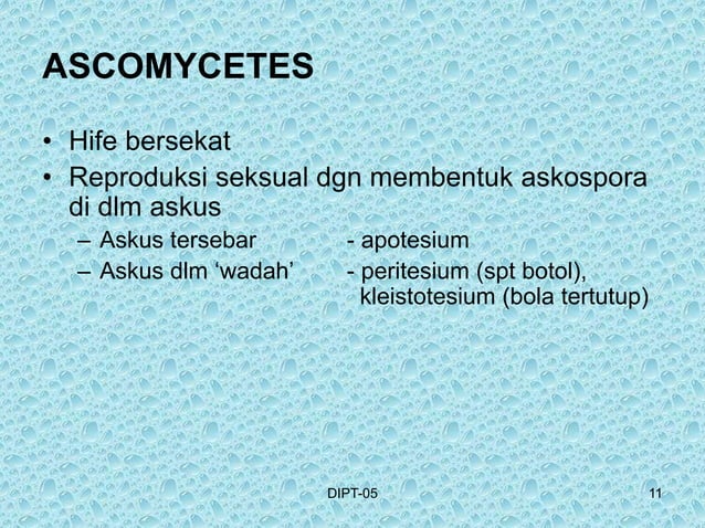 jenis patogen bakteri jamur kapang dan mikroorganisme.ppt