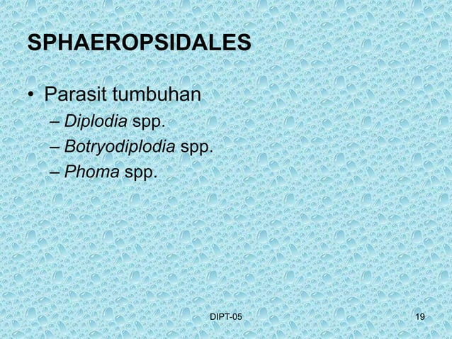 jenis patogen bakteri jamur kapang dan mikroorganisme.ppt