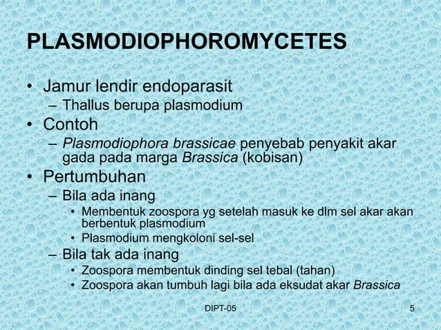 jenis patogen bakteri jamur kapang dan mikroorganisme.ppt