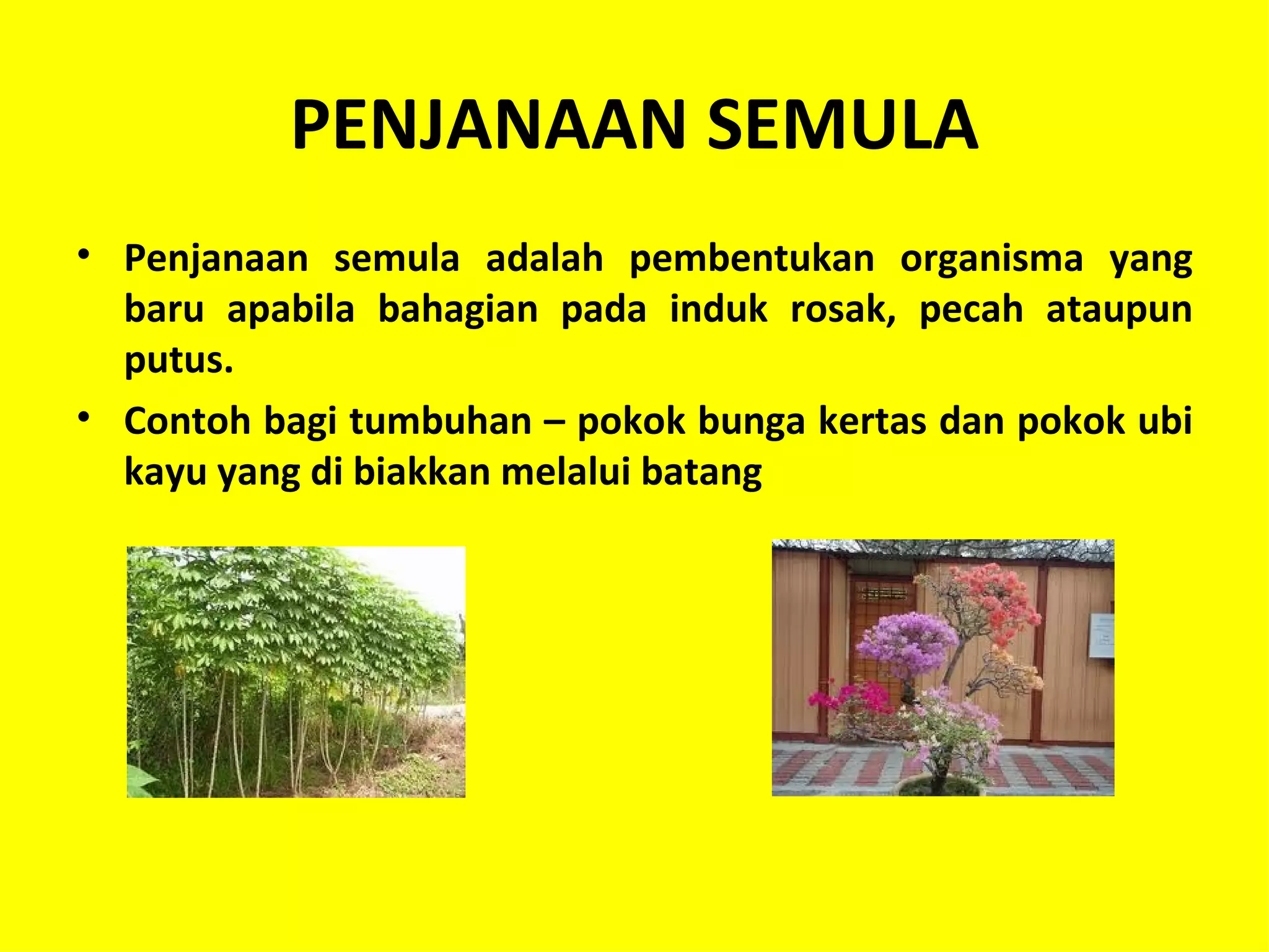 Jenis pembiakan1 | PPT