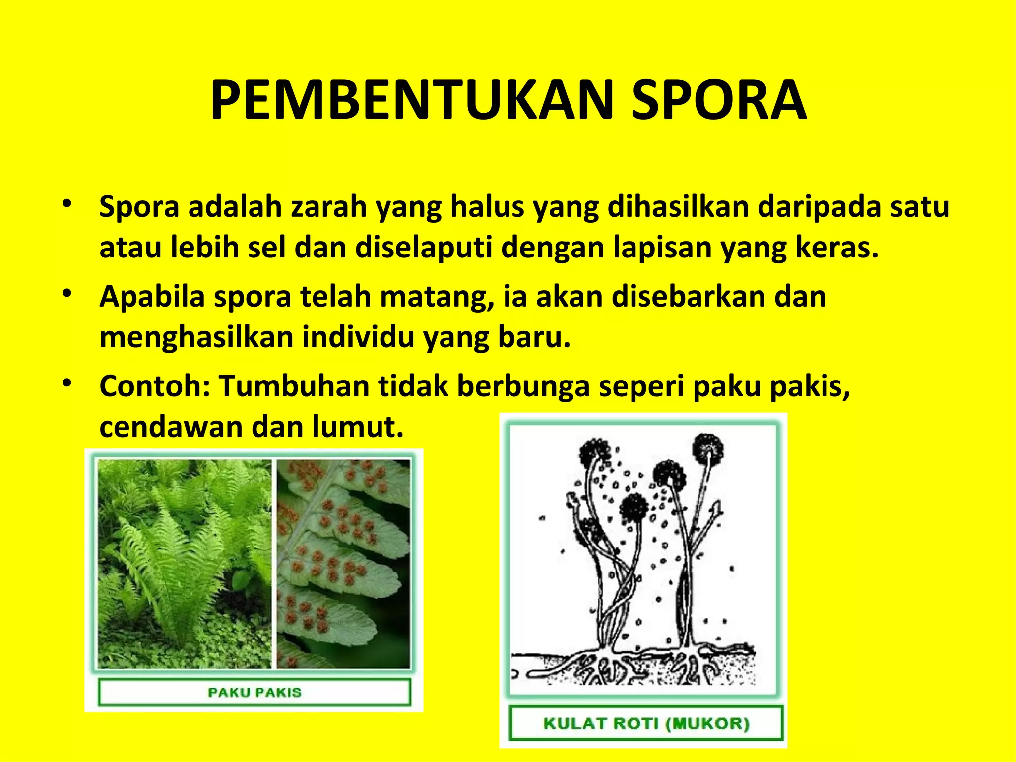 Jenis pembiakan1 | PPT
