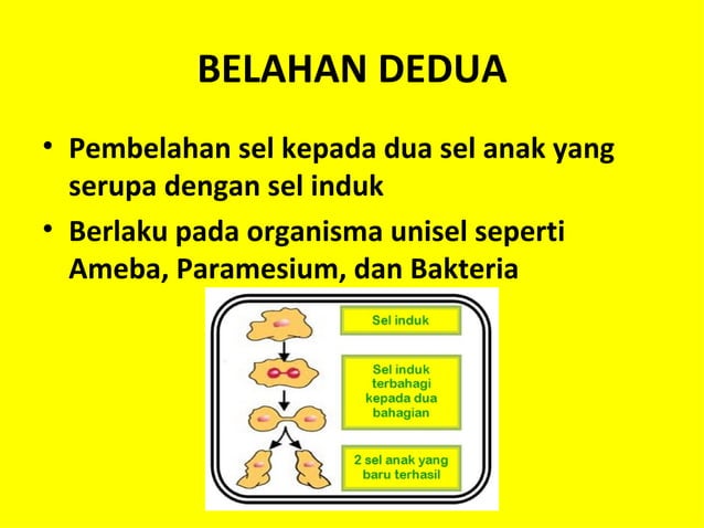Jenis pembiakan1 | PPT
